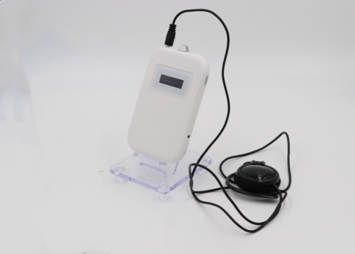 Experience Seamless Communication with Digital Tour Guide System ...